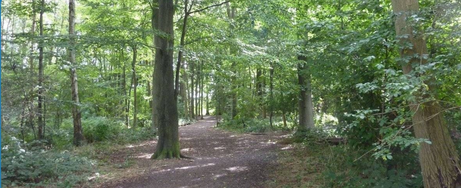 Parks and Open Spaces in Stevenage – Community News – Hertfordshire
